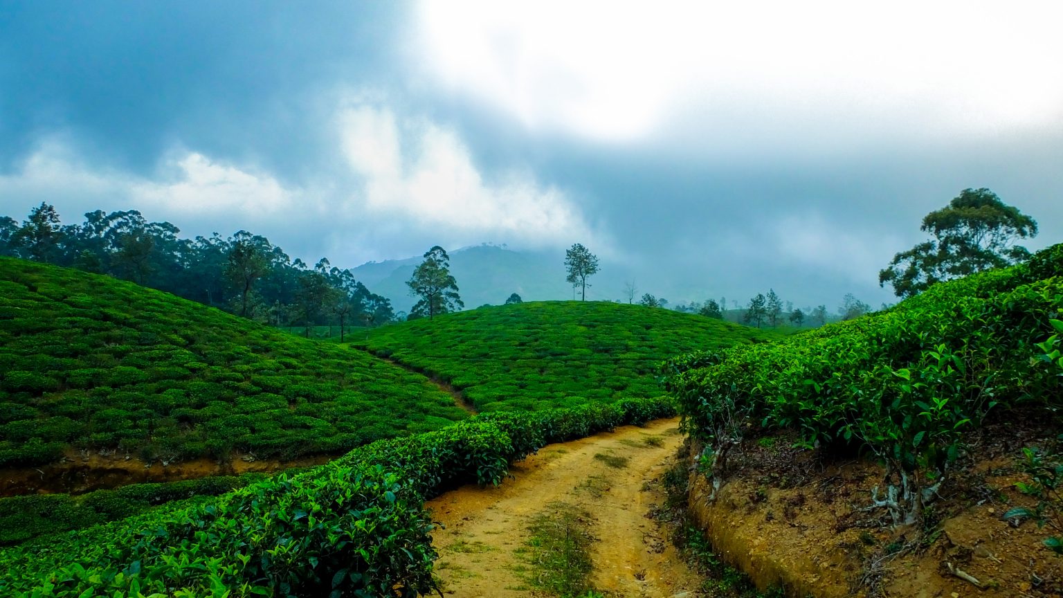 Explore Coorg, the Enchanting Scotland of India – Localhey
